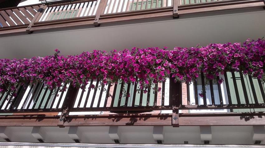 Hotel Primula - Canazei, TN, Italie