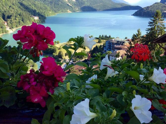 Hotel Aurora - Molveno