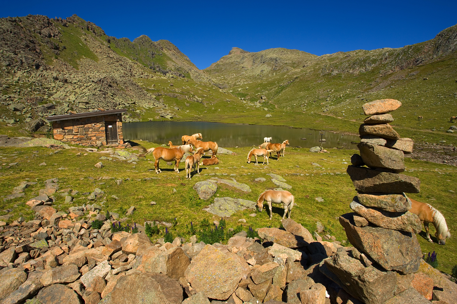 Smučišče Smučanje Val Di Fassa